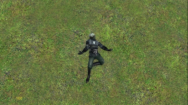 Realistic Ragdoll V2