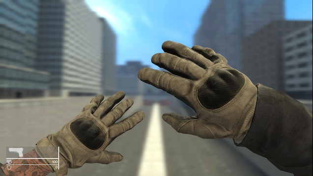 Call Of Duty : Modern Warfare 2019 - Ghost Apparition [PM]