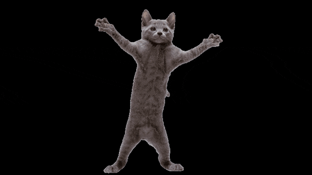 Dancing cat nextbot