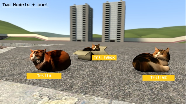 Trilly The Carryable Cat