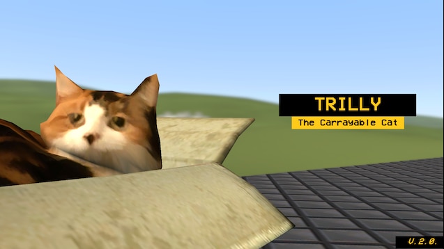 Trilly The Carryable Cat