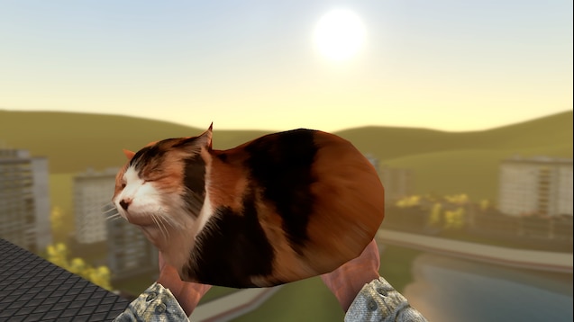 Trilly The Carryable Cat