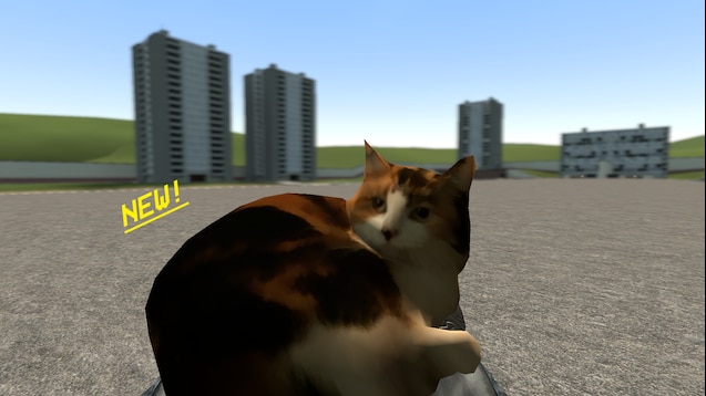 Trilly The Carryable Cat